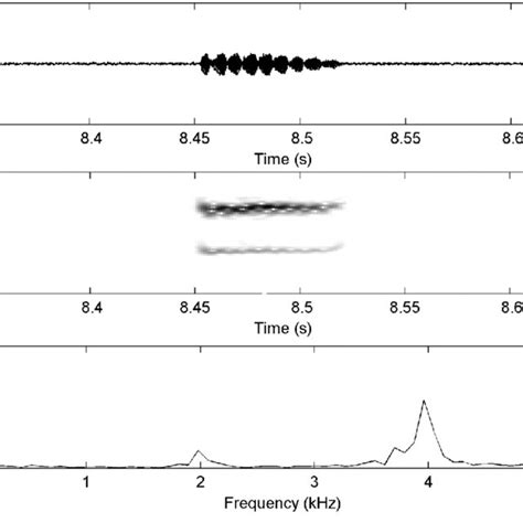 Oscillogram Top Spectrogram Middle And Power Spectrum Bottom Of