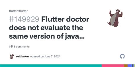 Flutter Doctor Does Not Evaluate The Same Version Of Java That Is Used