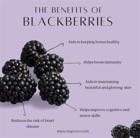 Blackberries Health Benefits Dr Axe At Tonya Darlene Blog