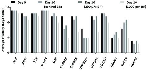 microarray analysis of primary human liver cells cultured in