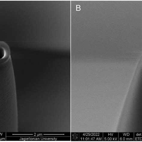 Semi Automatic Microinjection A Setting Of The Z Axis Limit For Download Scientific Diagram