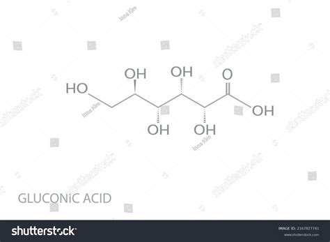 Gluconic Acid Molecular Skeletal 3d Chemical Stock Vector Royalty Free