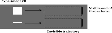 Diagrammatical Representation Of The Events In A Single Trial For The