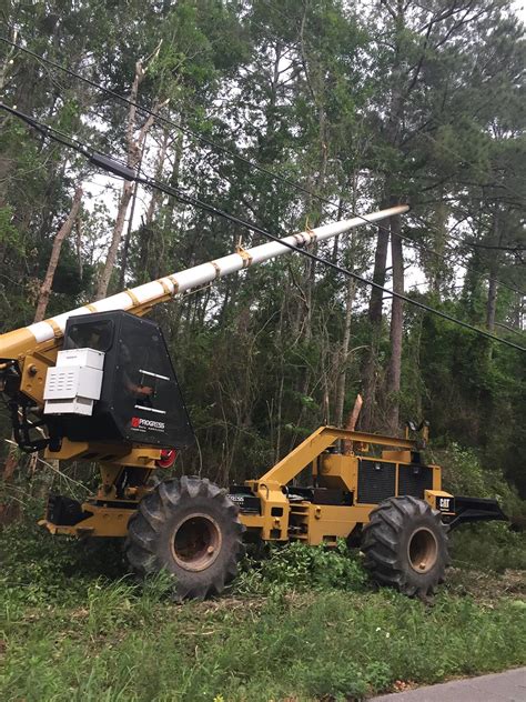 Tree Line Clearance Pascagoula Gulfport MS Cambium Tree Care