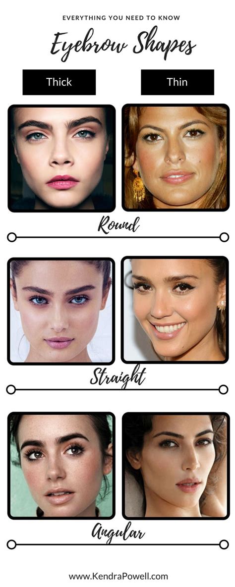 Everything You Need To Know About Eyebrows Eyebrow Shapes
