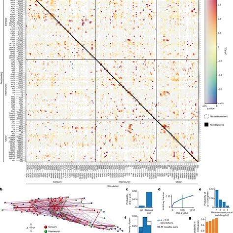 Signal Propagation Map Of C Elegans A Mean Post Stimulus Neural Download Scientific Diagram