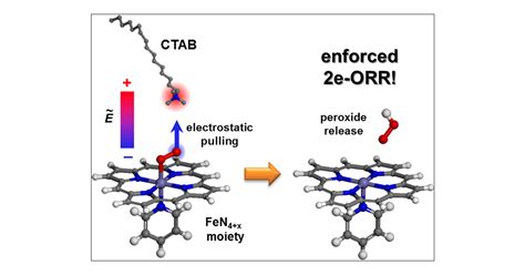 In Situ Electrostatic Modulation Of Path Selectivity For The Oxygen Reduction Reaction On Fen