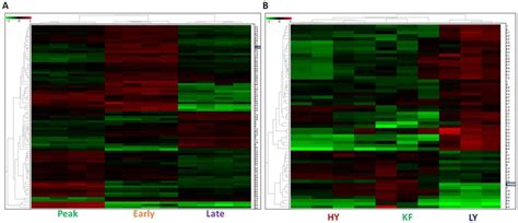 Unsupervised Hierarchical Clustering Hc The Expression Maps And Spot