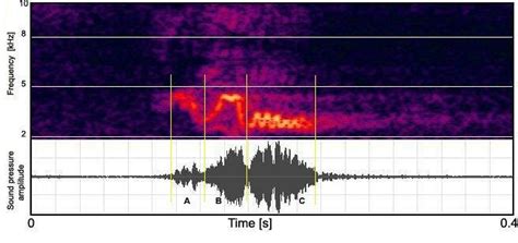Spectrogram And Time Display Of Three Chirps Of A Eurasian Tree Sparrow