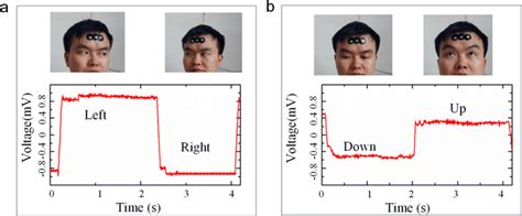 Typical Eog Data With Corresponding Eye Motions A The Typical Eog