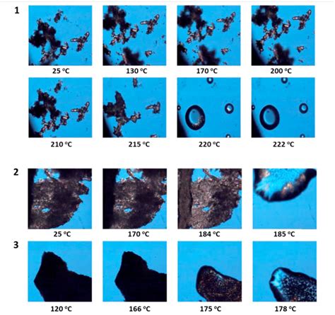 Polarized Light Thermal Microscopy Images Collected During Heating Of