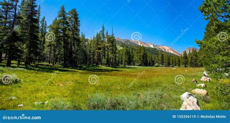 High Sierra Meadow Stock Image Image Of County August 155356119