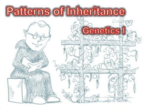 PPT Patterns Of Inheritance PowerPoint Presentation Free Download ID