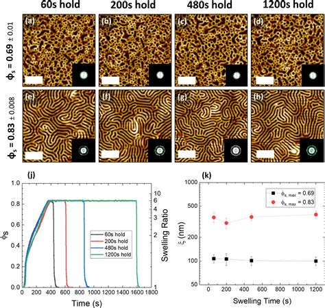 Optimization And Control Of Large Block Copolymer Self Assembly Via Precision Solvent Vapor