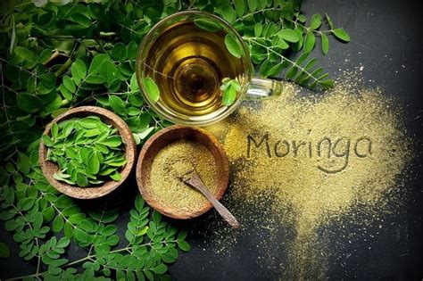 The Moringa Value Chain Mocat