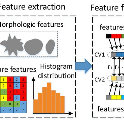 Overview Of The Framework Cv Canonical Variable Download Scientific Diagram
