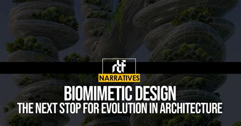 Biomimetic Design The Next Stop For Evolution In Architecture Rtf Rethinking The Future