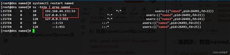 linux——dns（正向解析 反向解析 多域配置 主从配置） linux dns正反向解析配置 csdn博客