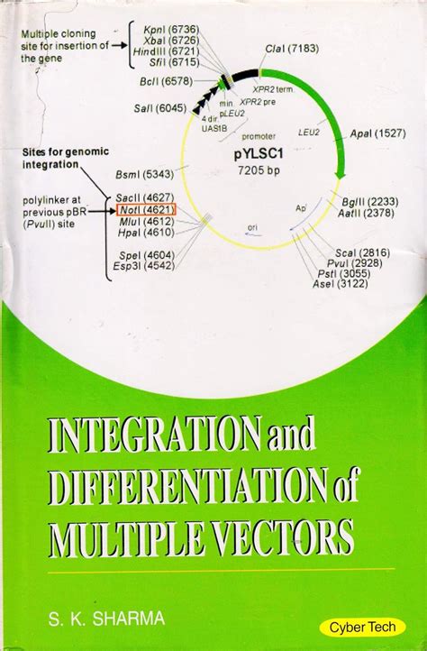 Integration And Differentiation Of Multiple Vectors Br