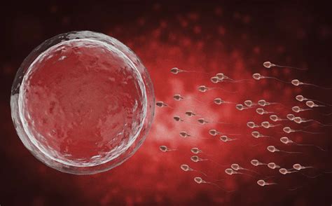 Is Sex Binary Eight Arguments And A Leading Nonbinary Theory Examined