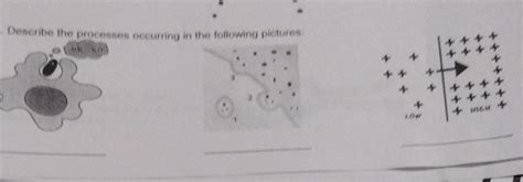 Solved Describe The Processess Occurring In The Following Chegg