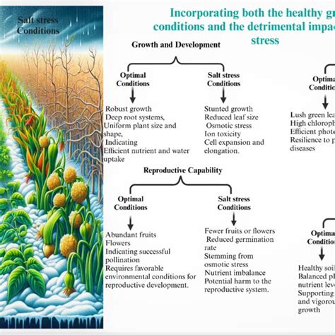 PDF Soil Salinity And Drought Tolerance An Evaluation Of Plant Growth Productivity