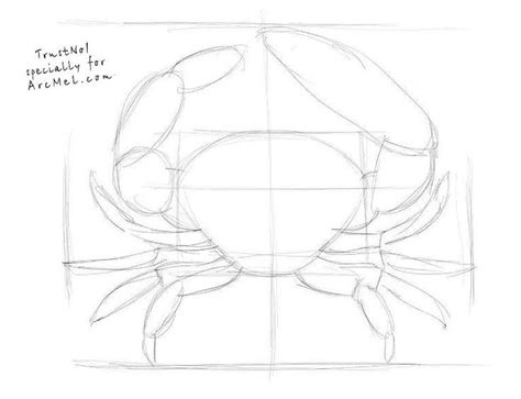 How To Draw A Crab Step By Step