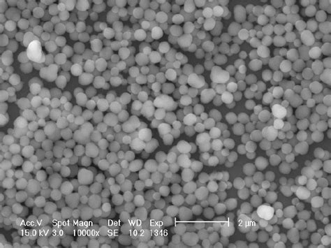 Sem Image Of The Iron Oxide Core Silica Shell Particles The