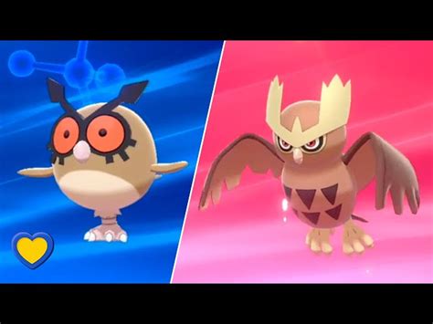 Hoothoot Evolusjon