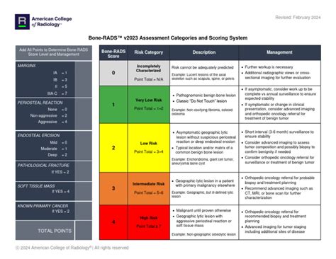 Bone Rads V2023 Assessment Categories Table Final Pdf Biopsy