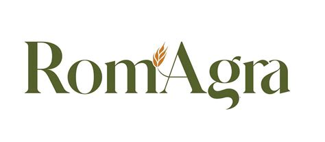 What Is The Font Envato Forums