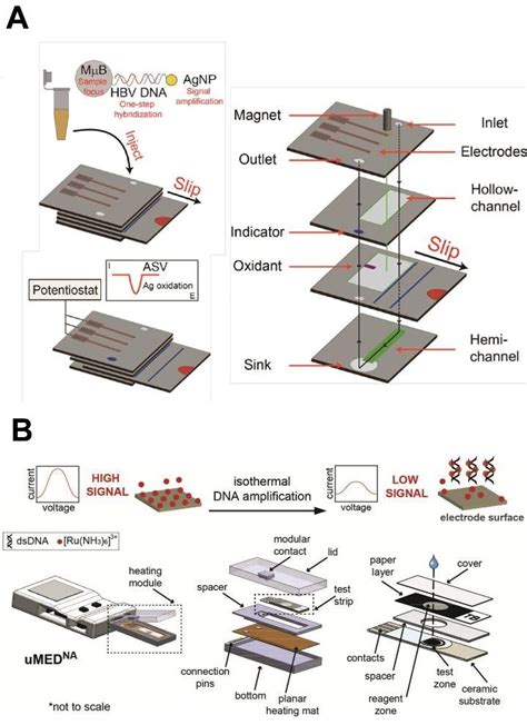 Integration Of Nucleic Acid Electrochemical Detection In Self Contained Download Scientific
