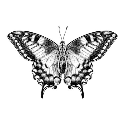 Butterfly Leg Tattoos Graceful And Chic Inkbox™ Semi Permanent Tattoos