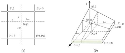 5 Bilinear Interpolation For Architecture Figure 0 5 The Architecture Download Scientific