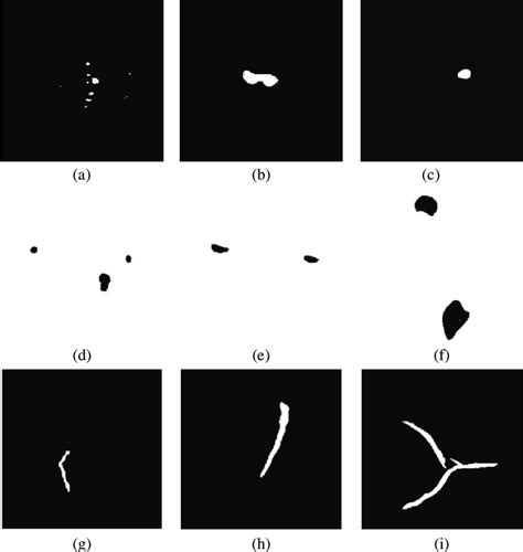 defect images after noise reduction and threshold segmentation
