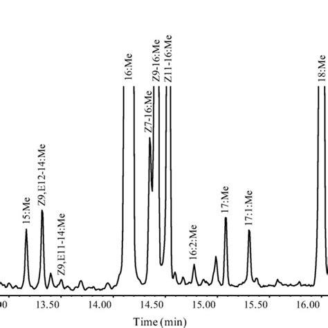 Biosynthetic Pathway For Sex Pheromone Ofspodoptera Exigua Proposed