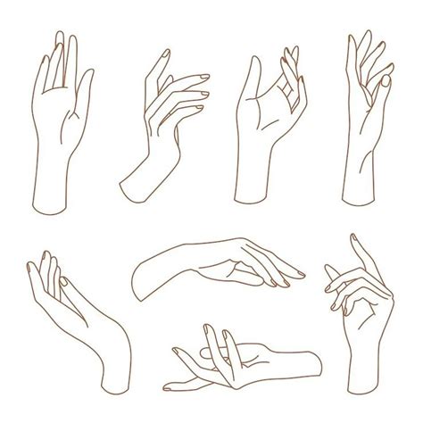 Set Of Delicate Womens Hand In Linear Style Female Hands In Various