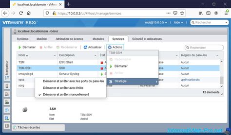 complete presentation of the vmware host client web client of vmware