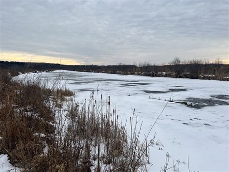 Emily Jashinsky On Twitter