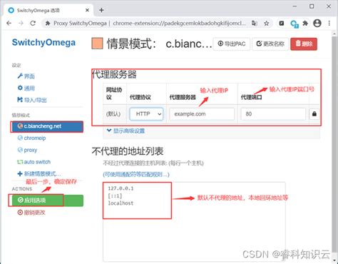 Proxy Switchyomega安装和使用proxyswitchy Csdn博客