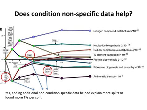 input output hmms for modeling network dynamics ppt download