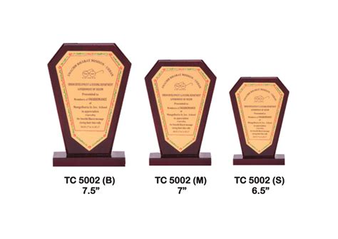 Buy Foil Trophies And Awardsfoil Trophy Manufacturersupplier