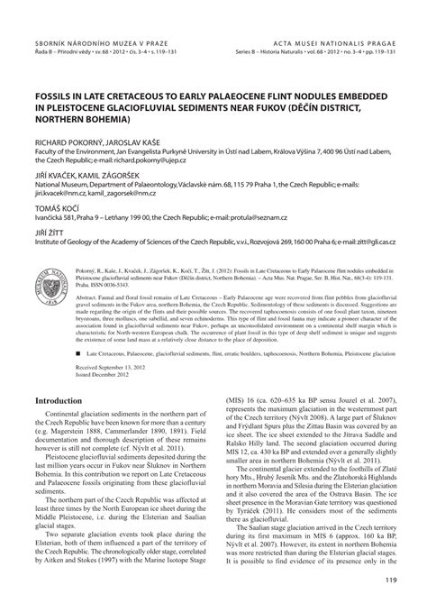 Fossils In Late Cretaceous To Early Palaeocene Flint Nodules Embedded