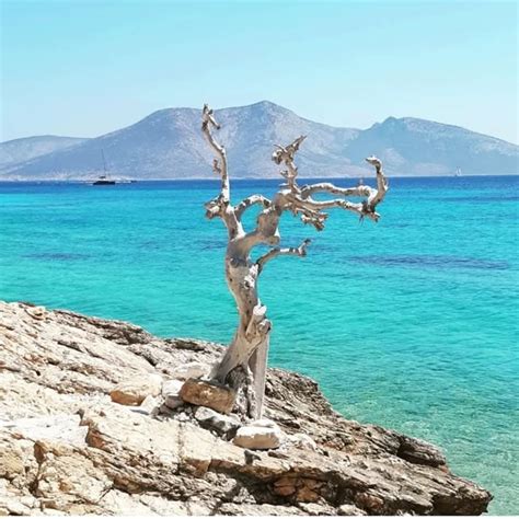 Filipbcn • Threads Say More