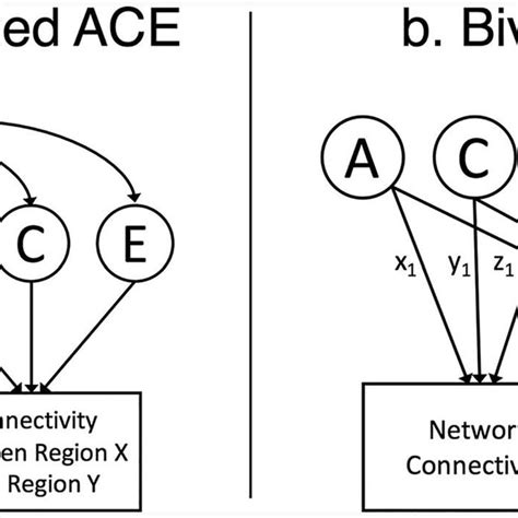Bivariate Models A Bivariate Correlated Ace Model Ra Genetic