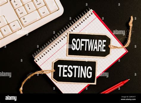 Text Caption Presenting Software Testing Business Idea Evaluate The