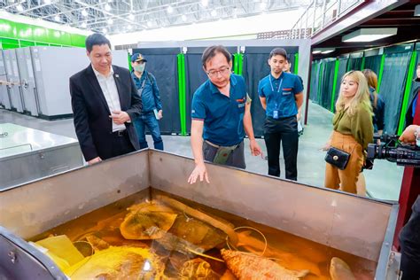 Nsm เปิดคลังตัวอย่างทางธรรมชาติวิทยาที่ใหญ่และดีที่สุดในเอเชียตะวันออก