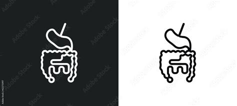 Digestive System Outline Icon In White And Black Colors Digestive System Flat Vector Icon From