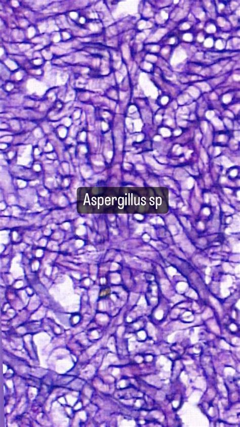 Alexandre Fabro Posted On Linkedin