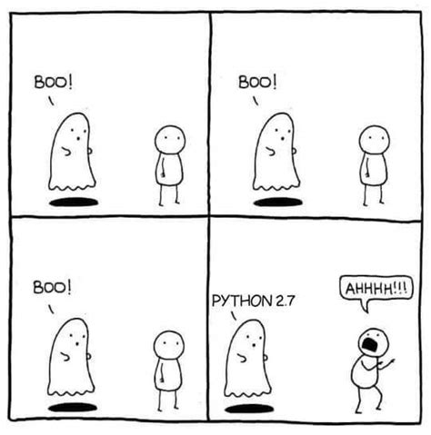 Funny Python